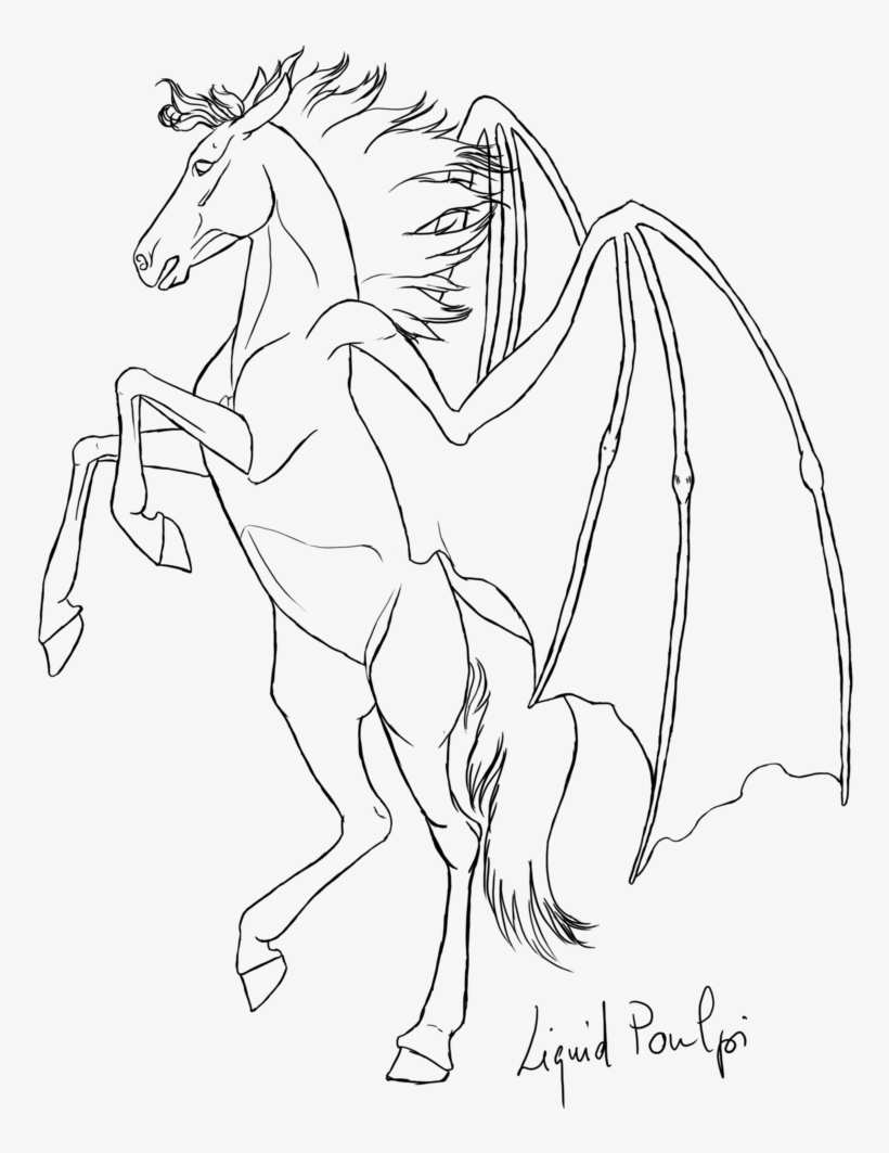 Pegasus Drawing Undead - Line Art Transparent PNG - 1024x1365 - Free ...