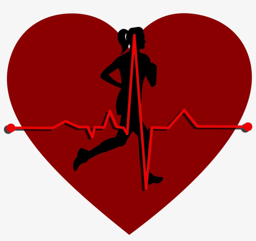 Credit - Pixabay - Sport Heart Transparent PNG - 1920x1357 - Free ...