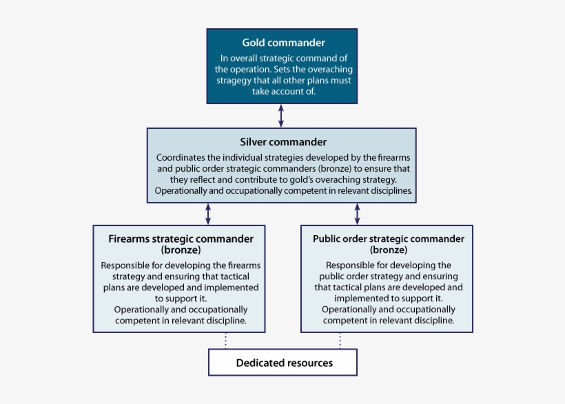 Example Of A Command Structure When Responding To More - Bronze Silver ...