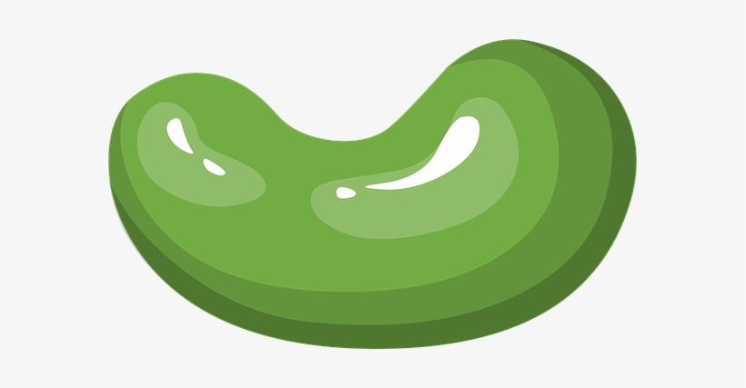 Bean Vector Transparent Transparent PNG - 720x720 - Free Download on ...