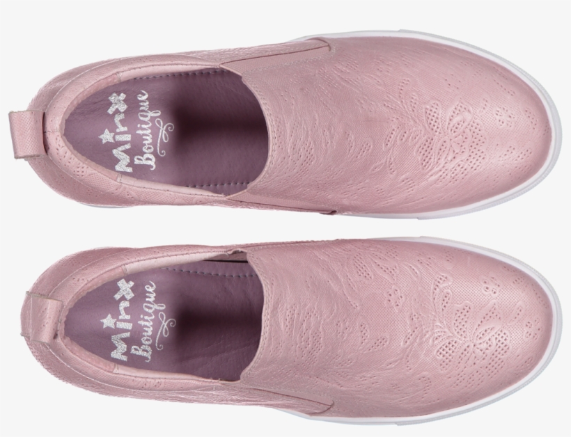 Dusty Pink Lace - Minx Transparent PNG - 1024x735 - Free Download on ...