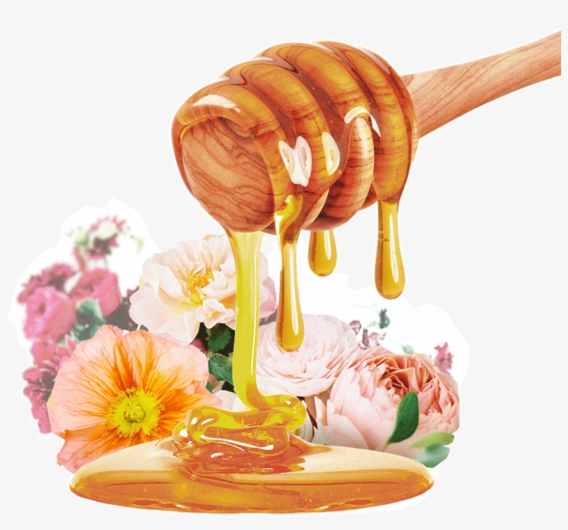 While Bees Collect Pollen, They Pollinate Other Flowers - Honey Flowers ...