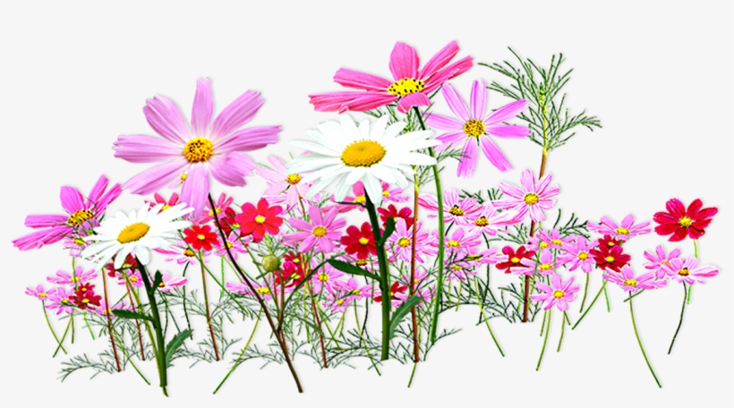 Free Floral Garden Transparent Designs Clip Art Transparent PNG ...