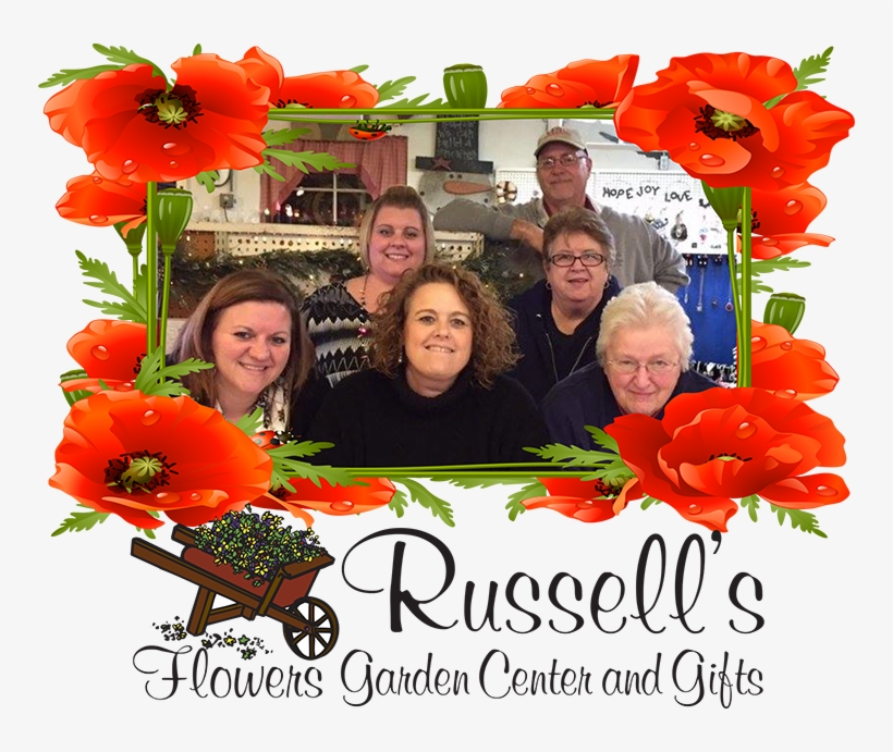 Our Hours - Rose Transparent PNG - 750x611 - Free Download on NicePNG