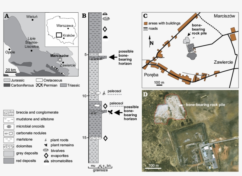 18216 - Diagram Transparent PNG - 1082x736 - Free Download on NicePNG