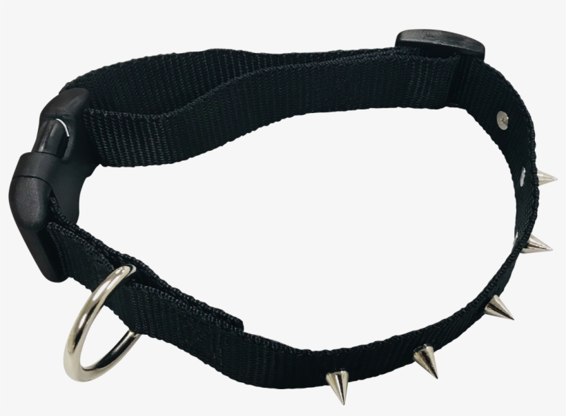 Strap Transparent PNG - 1280x962 - Free Download on NicePNG