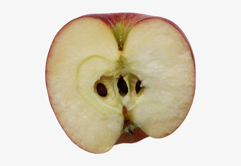 Half Apple - Apple Transparent PNG - 866x650 - Free Download on NicePNG