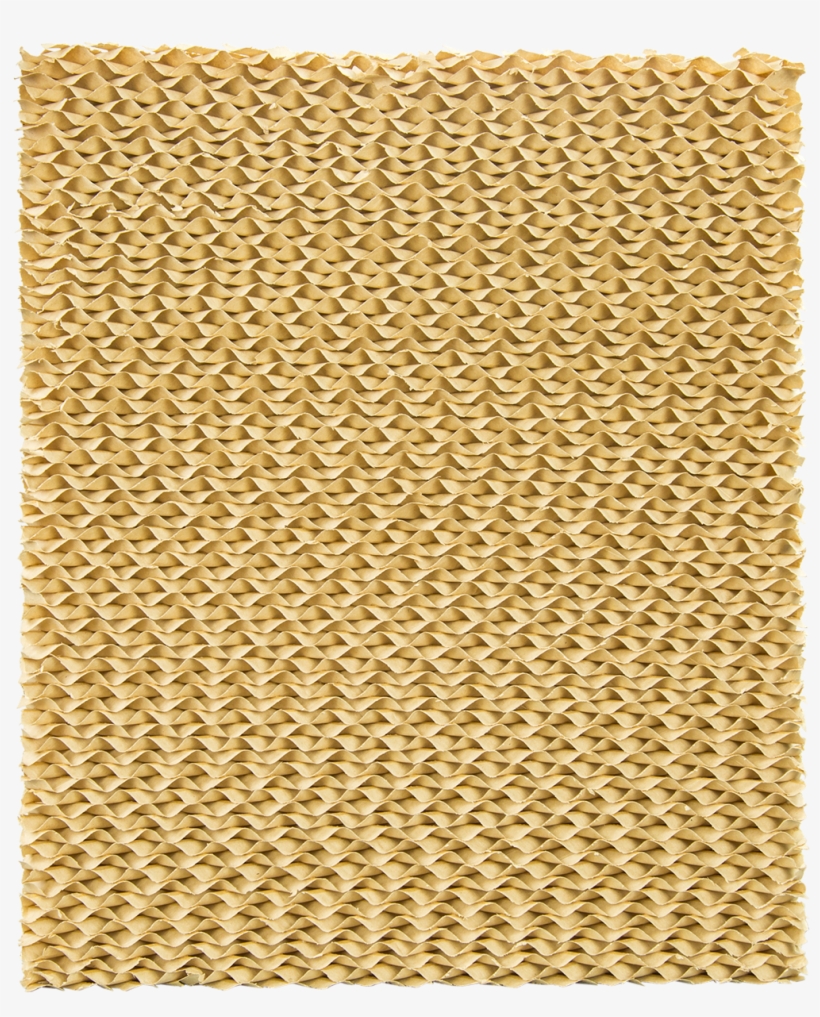 Honeywell Co70pe Evaporative Cooler Filter - "honeywell 148 Pint Indoor ...