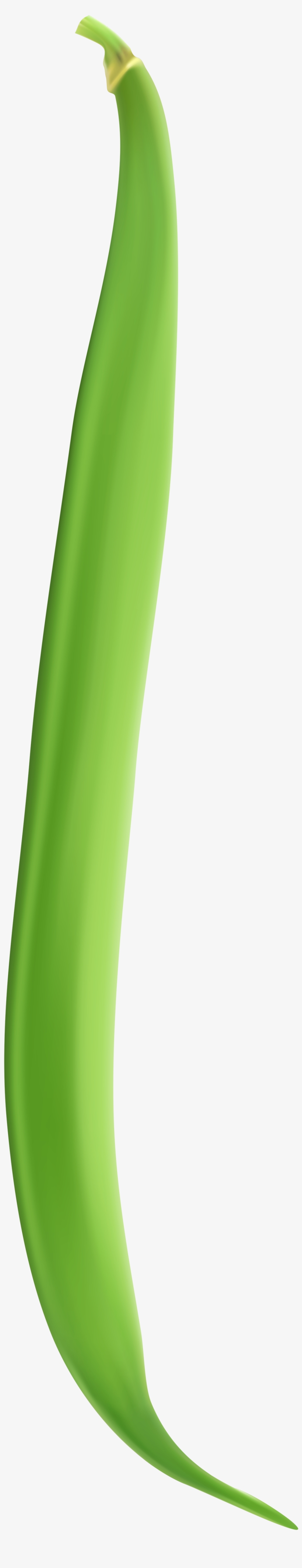 String Png Transparent PNG - 1231x6000 - Free Download on NicePNG