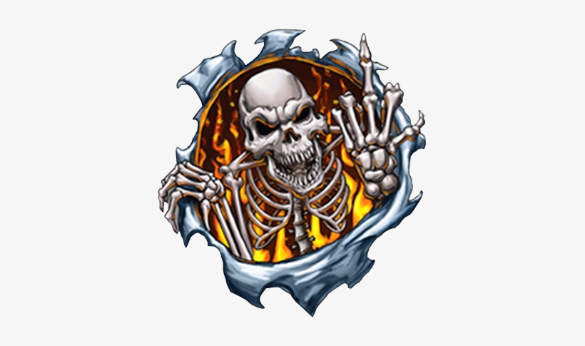 Skeleton-129 - Sticker Transparent PNG - 377x405 - Free Download on NicePNG