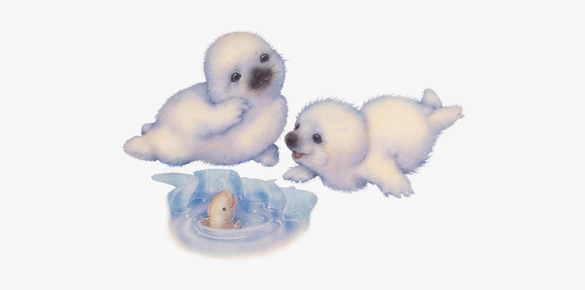 Gif Phoque Transparent PNG - 489x337 - Free Download on NicePNG