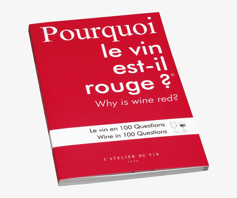 Pourquoi - Paper Transparent PNG - 700x1000 - Free Download on NicePNG