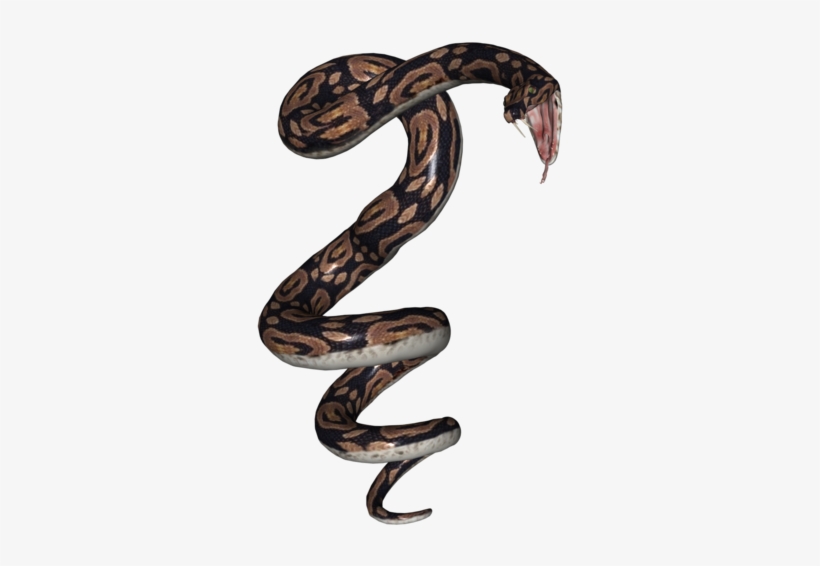 Serpent Transparent PNG - 732x640 - Free Download on NicePNG