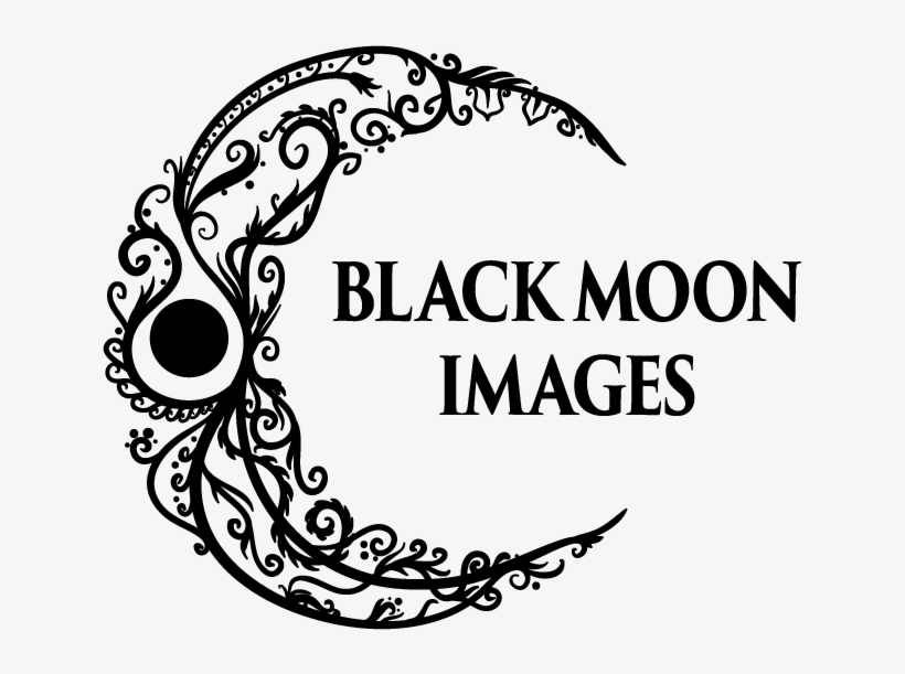 Black Moon Images Logo - Illustration Transparent PNG - 1440x1080 ...