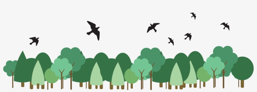 Graphic Showing Birds Flying Above Trees - Birds Flying Above The Trees ...