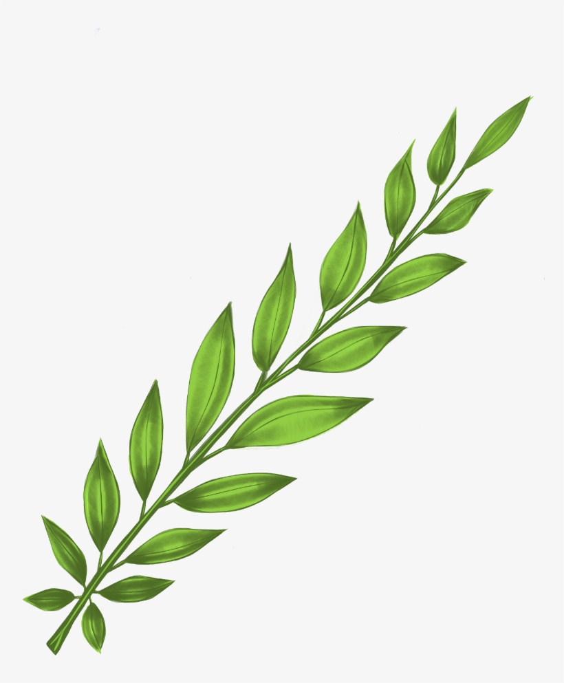 Leaves Sticker Transparent PNG - 1024x1024 - Free Download on NicePNG
