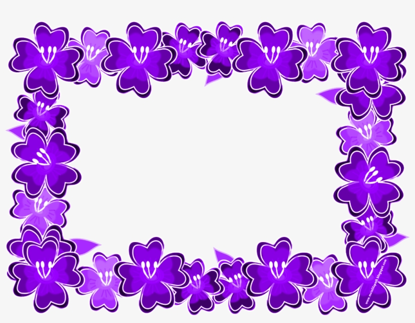 Purple Borders