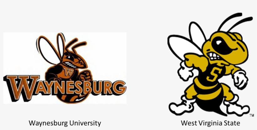 Finally We Come To Our Final And Most Popular Hexapod - West Virginia ...