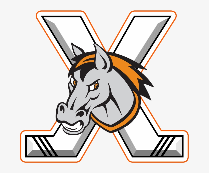 Kansas City Mavericks Hockey Look For The Mavs In The - Kansas City ...
