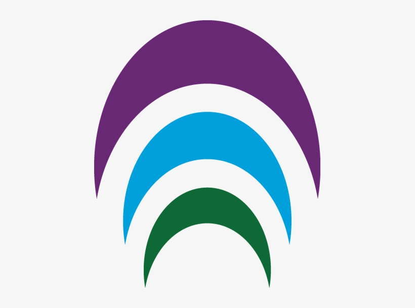 Full Color - Circle Transparent PNG - 447x529 - Free Download on NicePNG