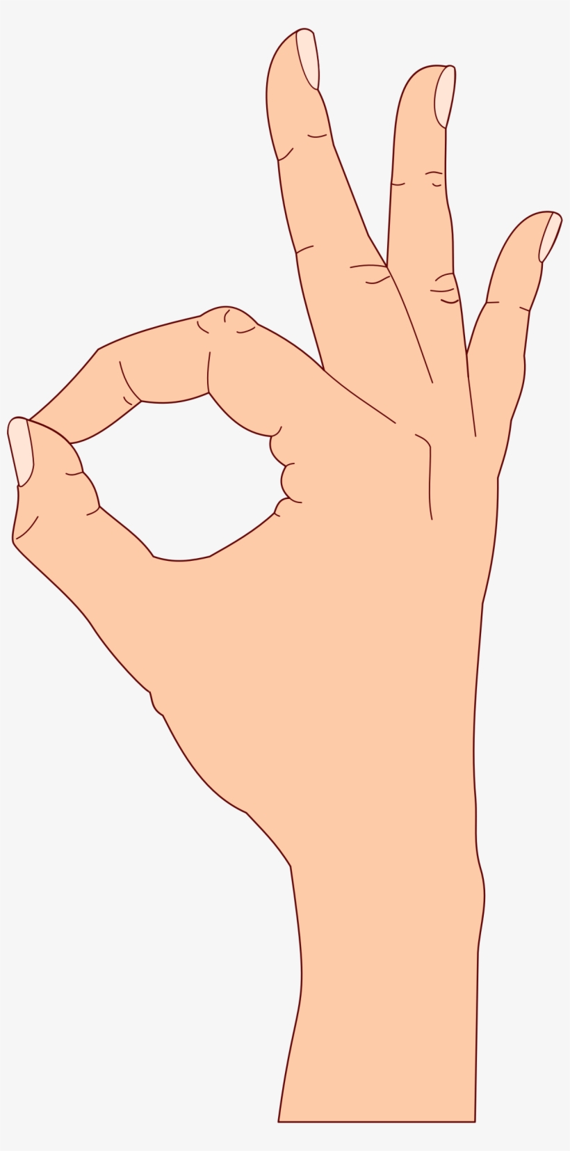 Medium Image - Ok Hand Clipart Transparent PNG - 405x797 - Free ...