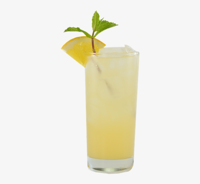 Fizz Transparent PNG - 467x701 - Free Download on NicePNG