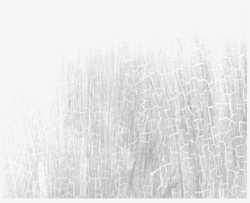 Overlay 077 - Tree Transparent PNG - 3600x2750 - Free Download on NicePNG