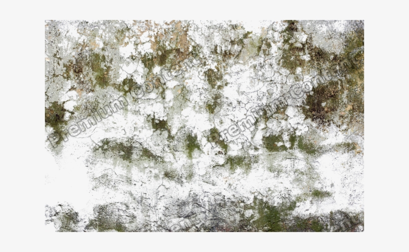 Download Dirty Decals - Texture Mapping - HD Transparent PNG - NicePNG.com