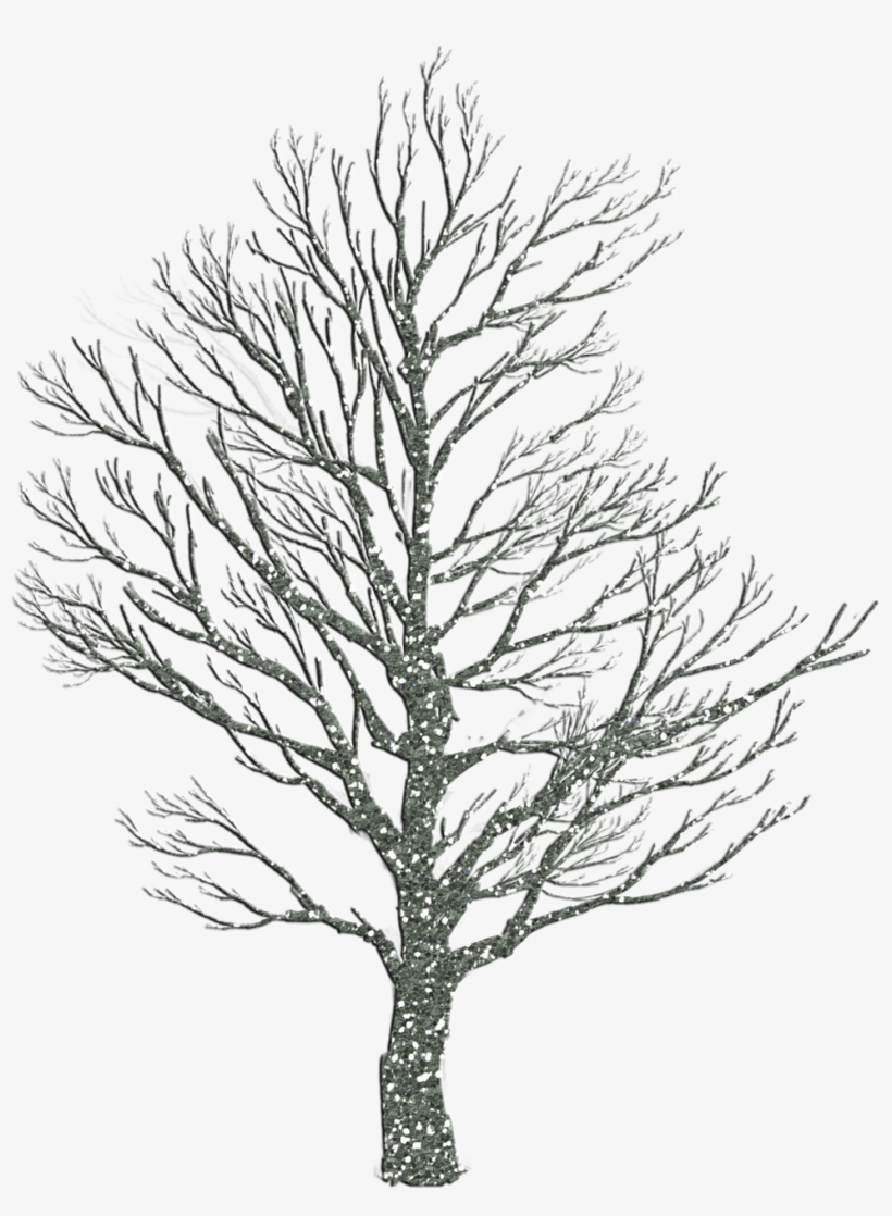 Winter Trees Sketch