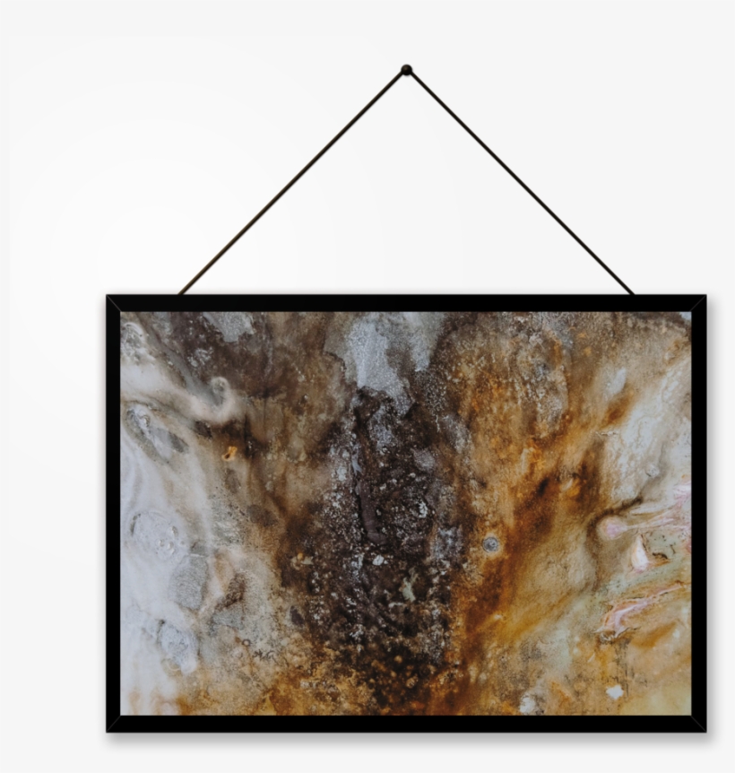 Frame 4 Jake - Picture Frame Transparent PNG - 1000x1000 - Free ...