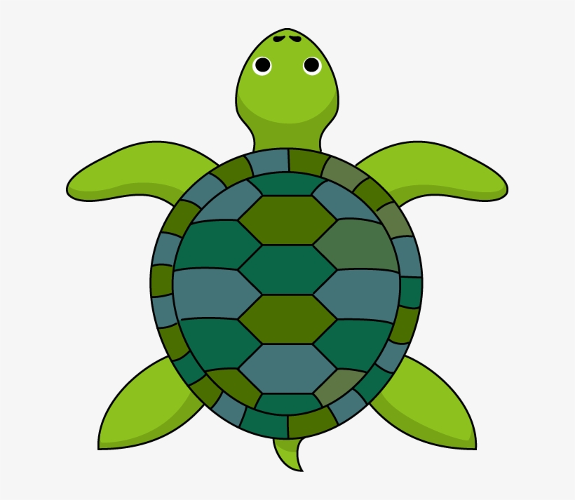 Clip - Tortoise Clipart Transparent PNG - 632x633 - Free Download on ...