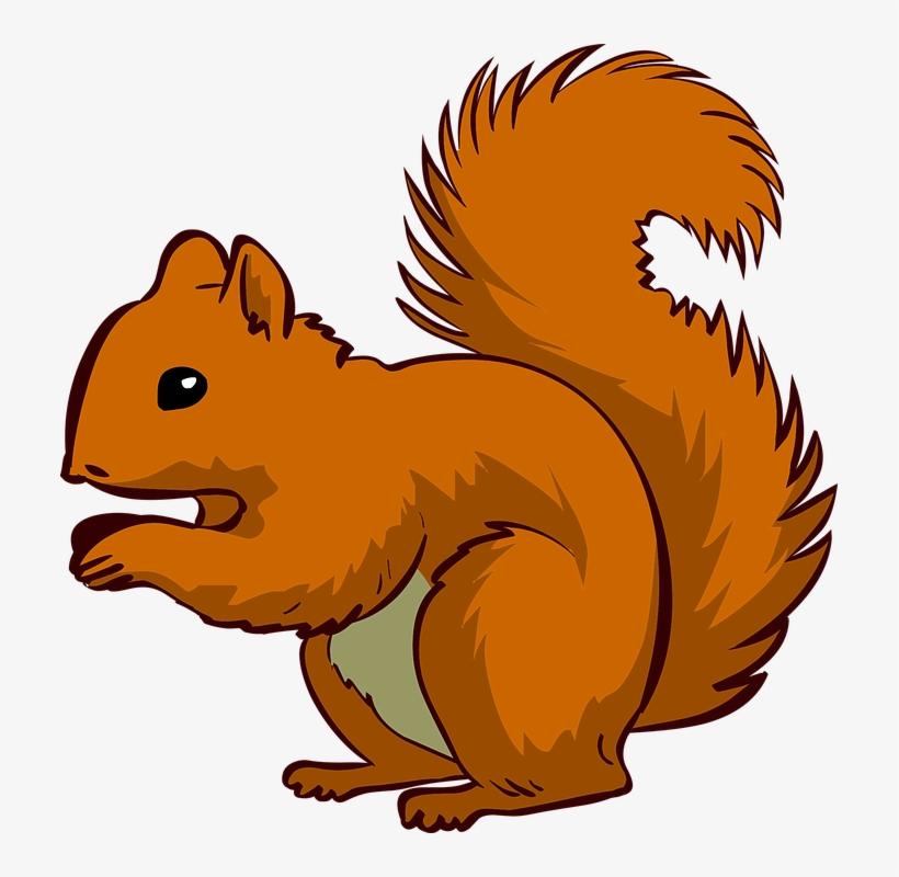 Free Vector Graphic - Clip Art Squirrel Transparent PNG - 709x720 ...