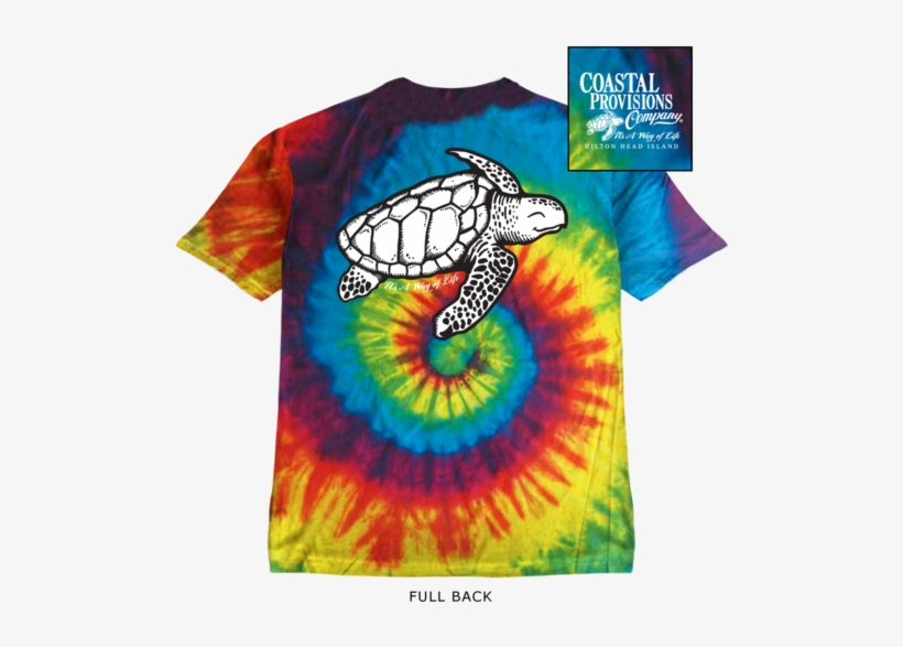 Loggerhead Sea Turtle Transparent PNG - 524x600 - Free Download on NicePNG