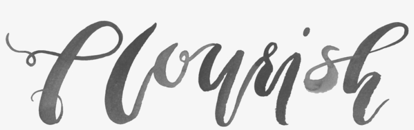 White Flourish Png Transparent PNG - 1000x274 - Free Download on NicePNG