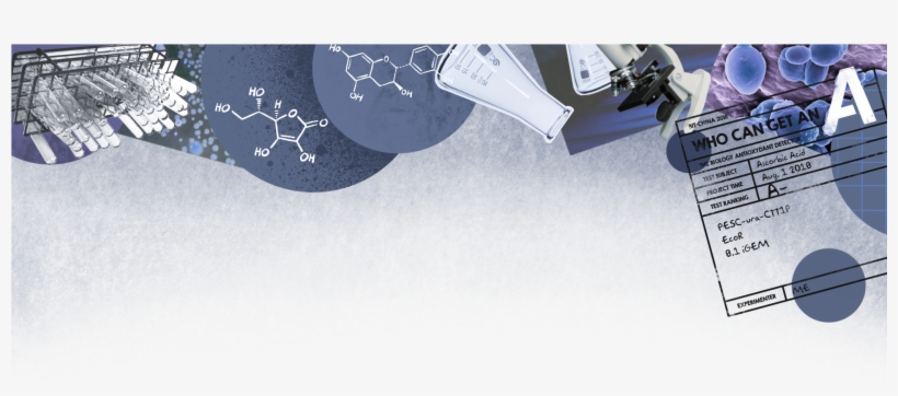 Background - Banknote Transparent PNG - 1920x1000 - Free Download on ...