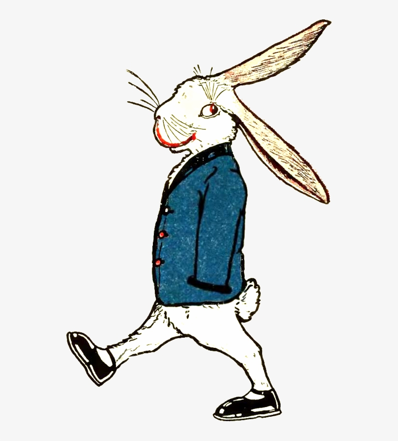 Peter Rabbit Albert 31 - Illustration Transparent PNG - 547x829 - Free ...