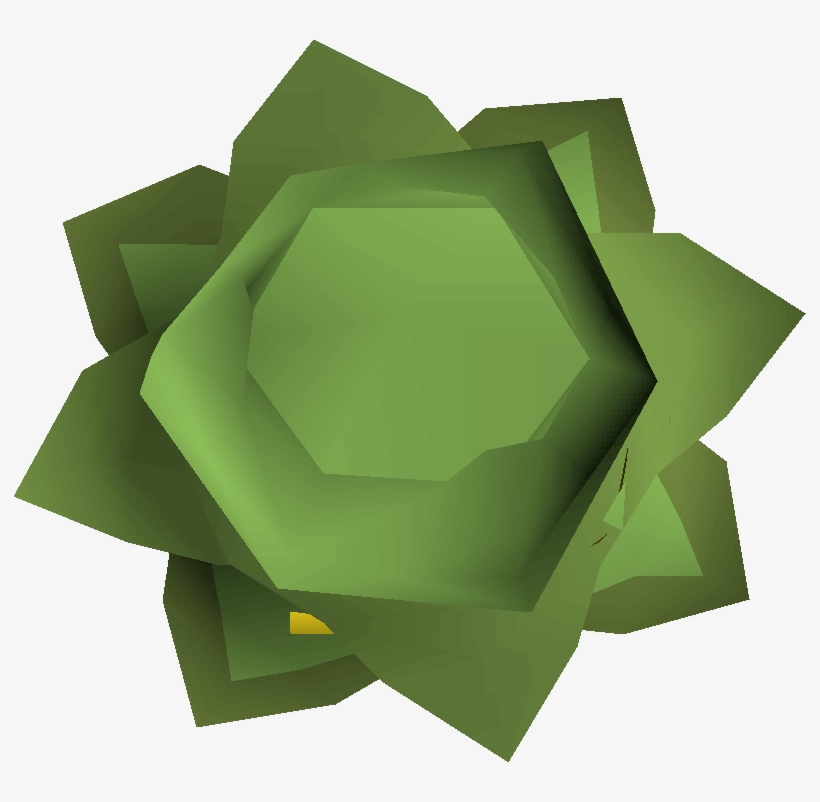 Cabbage Round Shield Detail - Old Cabbage Runescape Transparent PNG ...