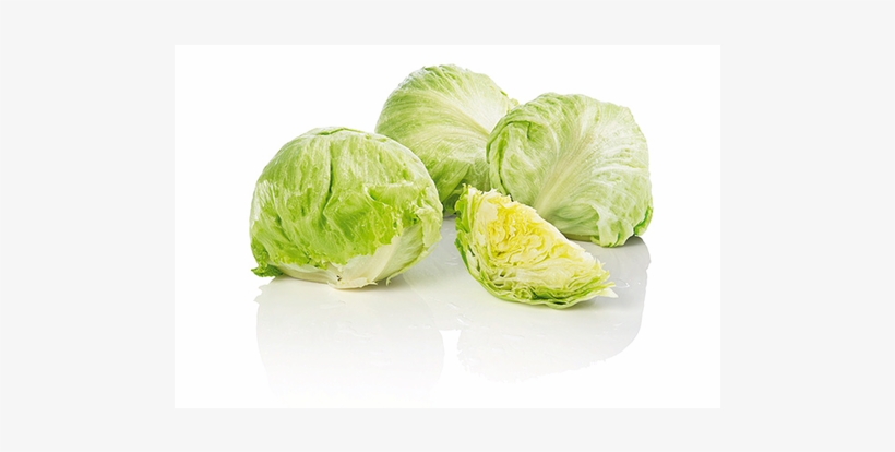Iceberg Lettuce - Brussels Sprout Transparent PNG - 500x500 - Free ...