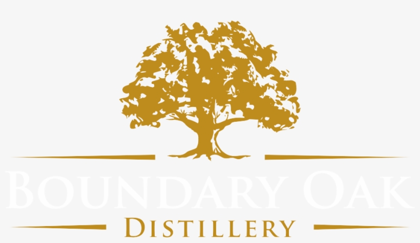 At The Base Of A 100 Year Old Oak Tree Springs Some - Oak Tree Logo Png ...