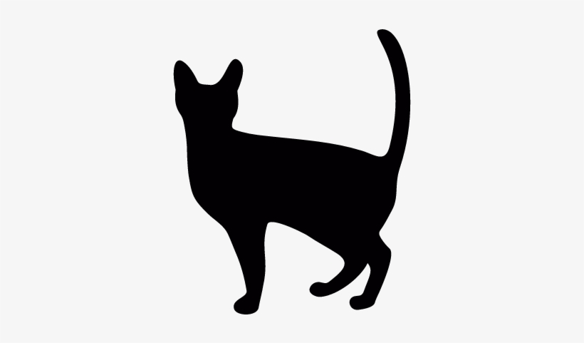 Download Witch Cat Vector - Cat Icon Png - HD Transparent PNG - NicePNG.com