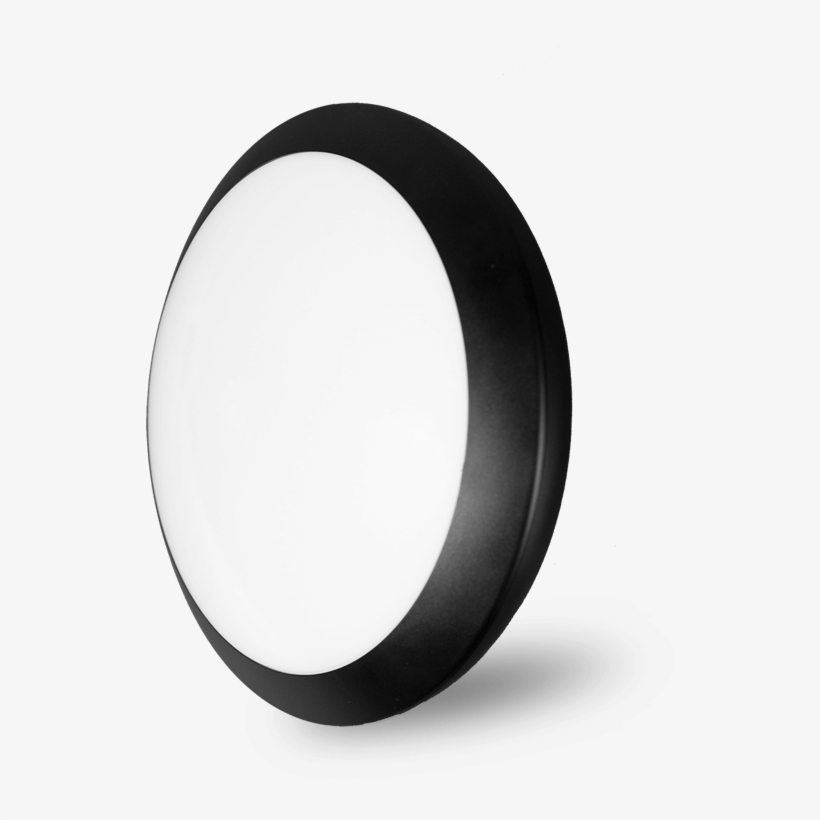 Focus - Circle Transparent PNG - 800x800 - Free Download on NicePNG