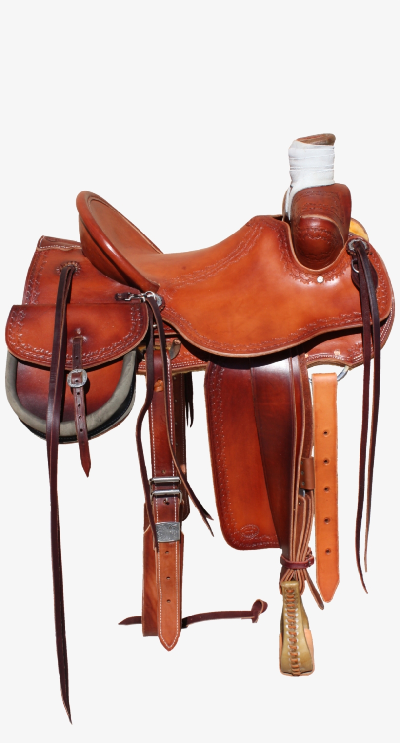 Custom Saddle Transparent PNG - 1000x1807 - Free Download on NicePNG