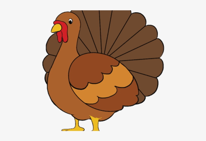 Turkey Drawing Transparent PNG - 640x480 - Free Download on NicePNG