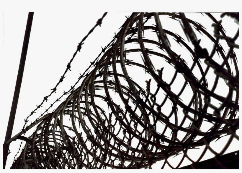 Barbed Wire - Barb Wire Psd Transparent PNG - 902x600 - Free Download ...