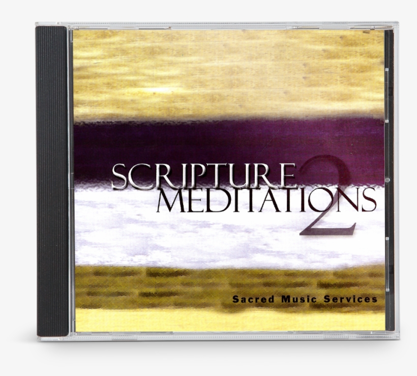 Institute In Basic Life Principles - Plywood Transparent PNG ...