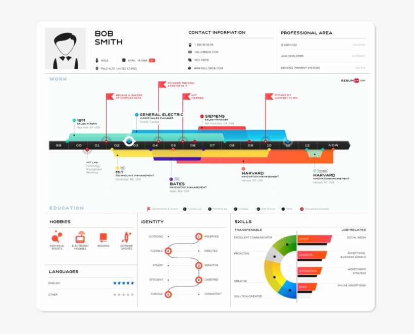 15 Resume Infographic Powerpoint Template Images Infographic Resume