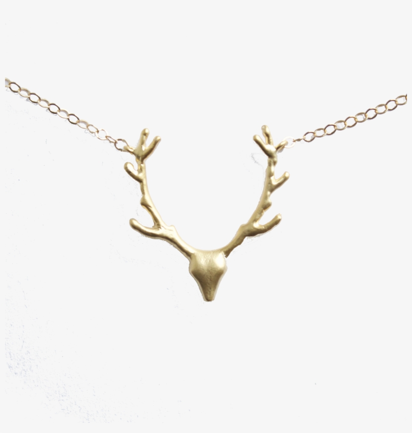 Fall Antler Necklace - Necklace Transparent PNG - 2500x2500 - Free ...