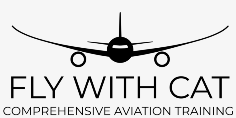 Flying Cat Png Transparent PNG - 1000x543 - Free Download on NicePNG