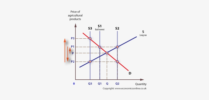 The Cobweb Diagram - Economics Transparent PNG - 382x349 - Free ...