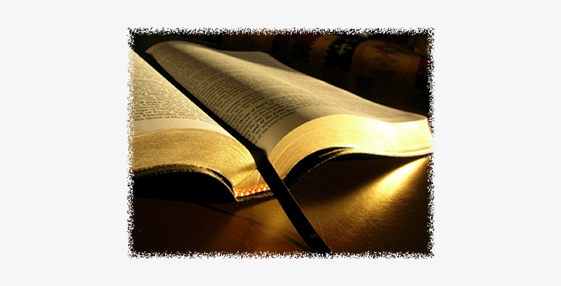 Open Bible Transparent PNG - 450x338 - Free Download on NicePNG